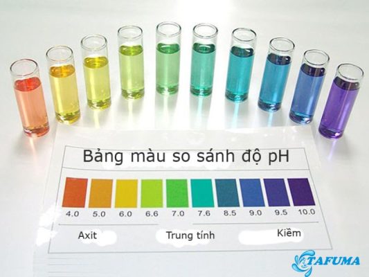 pH là gì? Nồng độ pH của dung dịch là bao nhiêu?